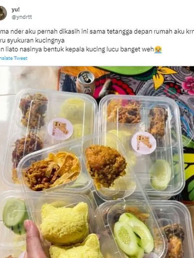 7 Momen Orang Bikin Acara Syukuran Untuk Kucing, Ada yang Ditertawakan ...