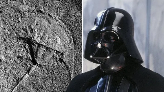 Berusia 245 Juta Tahun, Fosil 'Darth Vader' Ini Picu Perdebatan - Tekno ...
