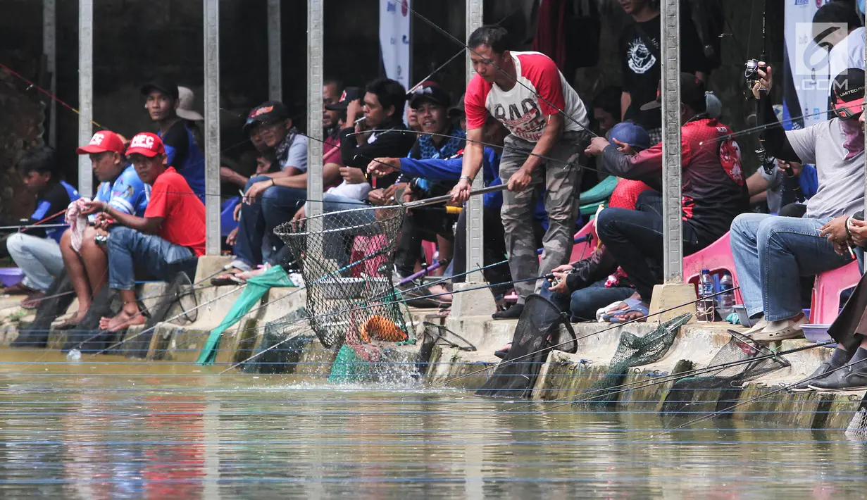 FOTO: Mancing Asyik Bersama Jurnalis Mancing Indonesia - Foto Liputan6.com