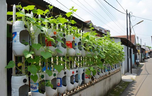 Berita Nong Poy Hari Ini - Kabar Terbaru Terkini | Liputan6.com