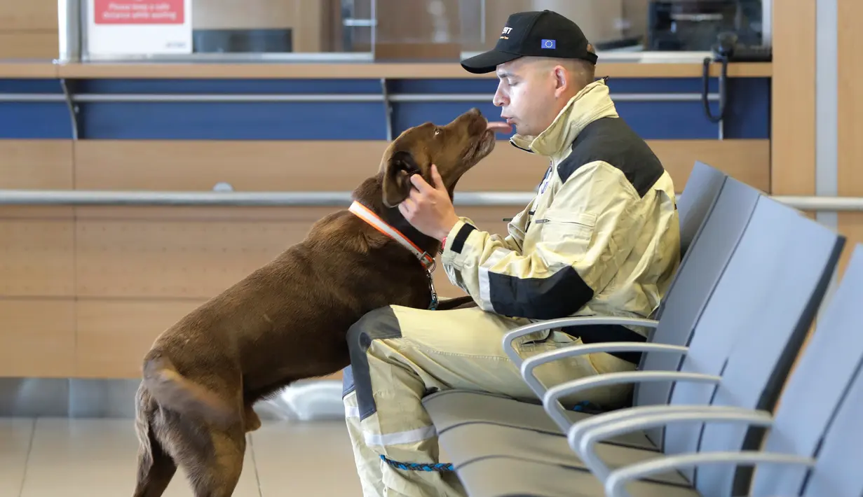 FOTO: Bantuan Tim Anjing Pelacak Republik Ceko untuk Beirut - Foto ...