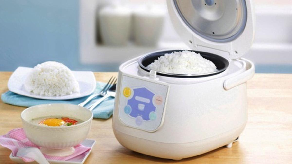 Yuk Ketahui Mengapa Nasi Yang Dimasak Di Rice Cooker Cepat Basi ...