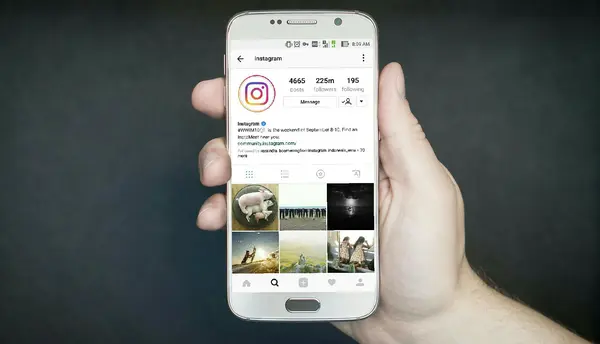 Apa Itu ODF: Panduan Lengkap Tentang Open Document Format - Feeds ...