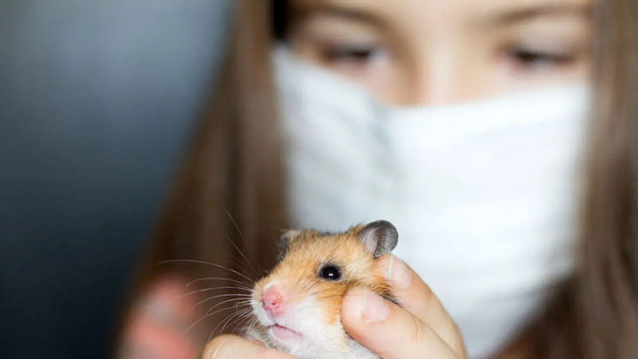 8 Tips Hindari Risiko Alergi Anak yang Menyukai Hewan Peliharaan ...