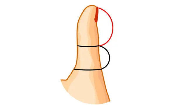 5 Bentuk Jempol Ini Ungkap Rahasiamu, Punya Kamu yang Mana? - Citizen6 ...