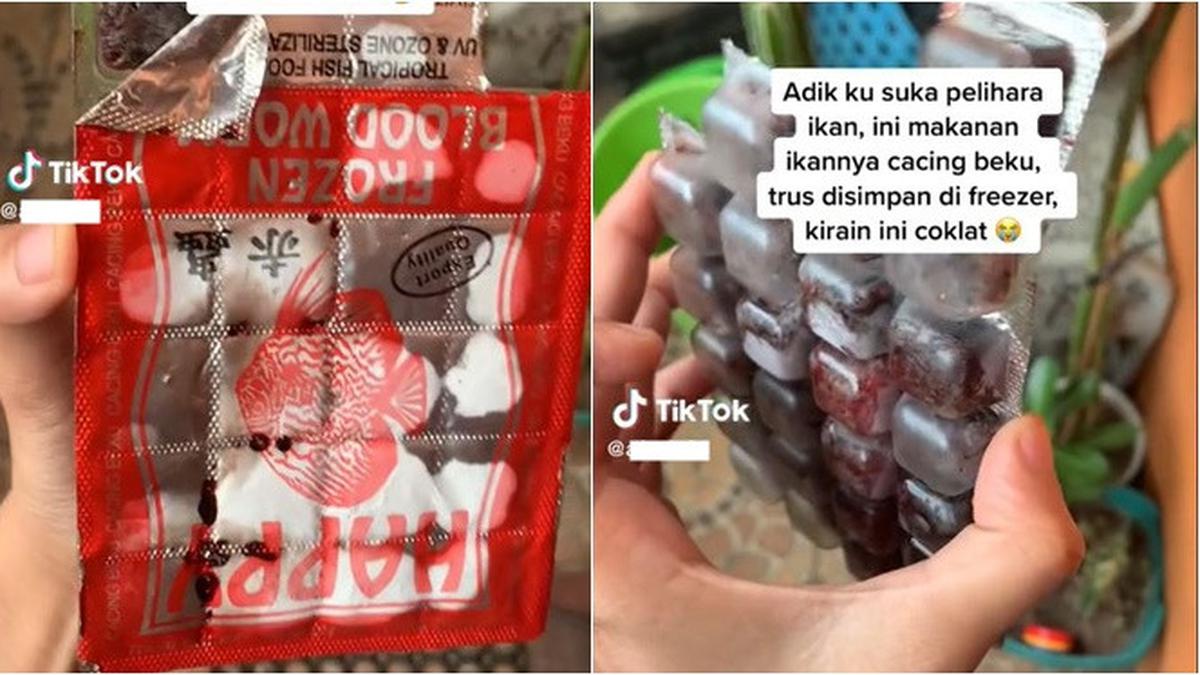 Dikira Cokelat, Wanita Ini Hampir Makan Cacing Beku yang Ada di Freezer ...