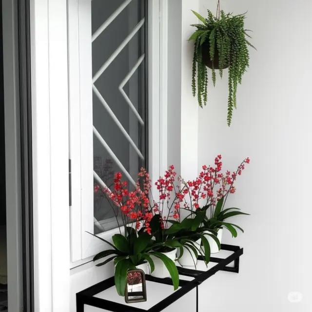 10 Cara Menata Bunga di Teras Rumah Sederhana 2025, Tampak Luas & Indah ...