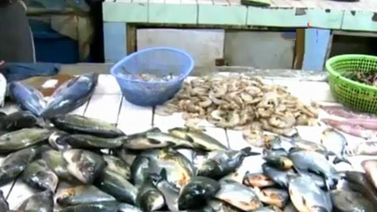 Pasar Ikan Muara Baru Bakal Disulap Mirip Tsukiji Market, Jepang ...