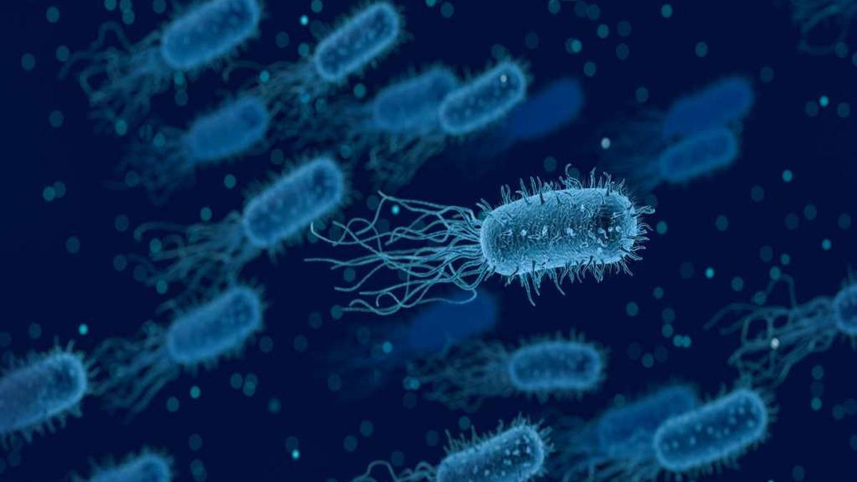 10 Bakteri yang Terdapat Pada Uang, Harus Diwaspadai - Hot Liputan6.com