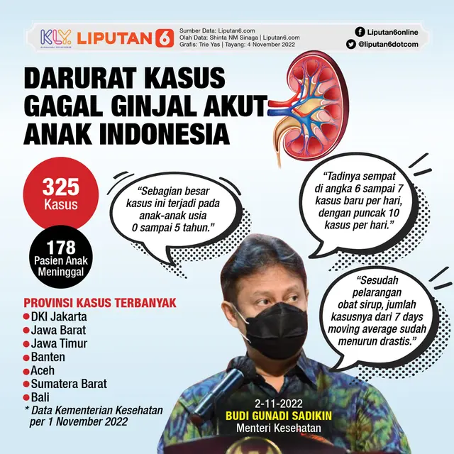 Infografis Darurat Gagal Ginjal Akut Anak, Keracunan Obat, Penawar ...