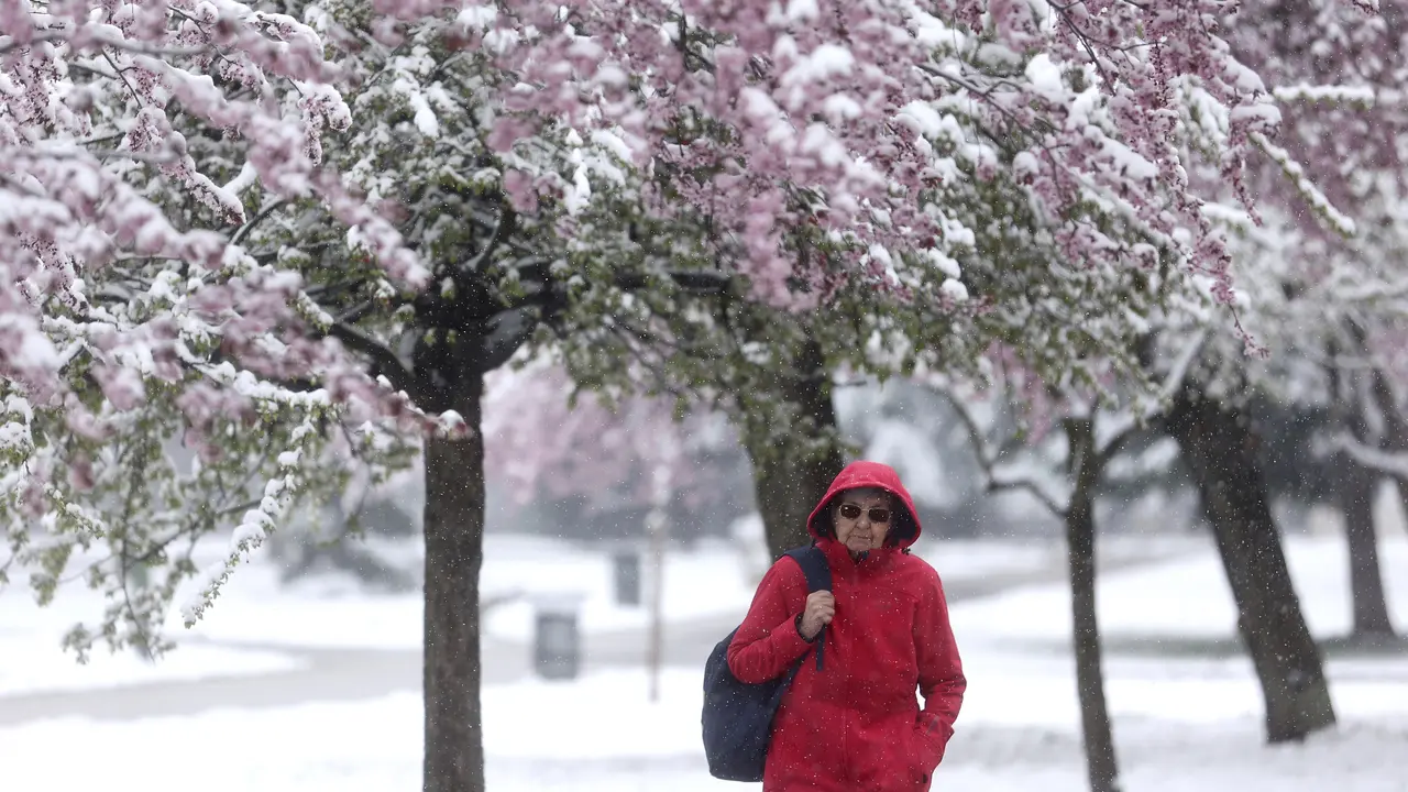 Musim adalah Pembagian Tahun yang Dipengaruhi Iklim, Ini Pembagiannya ...