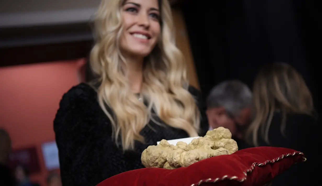 PHOTO: Jamur Truffle Putih Asal Italia Ini Terjual dengan Harga Rp 1,1 ...