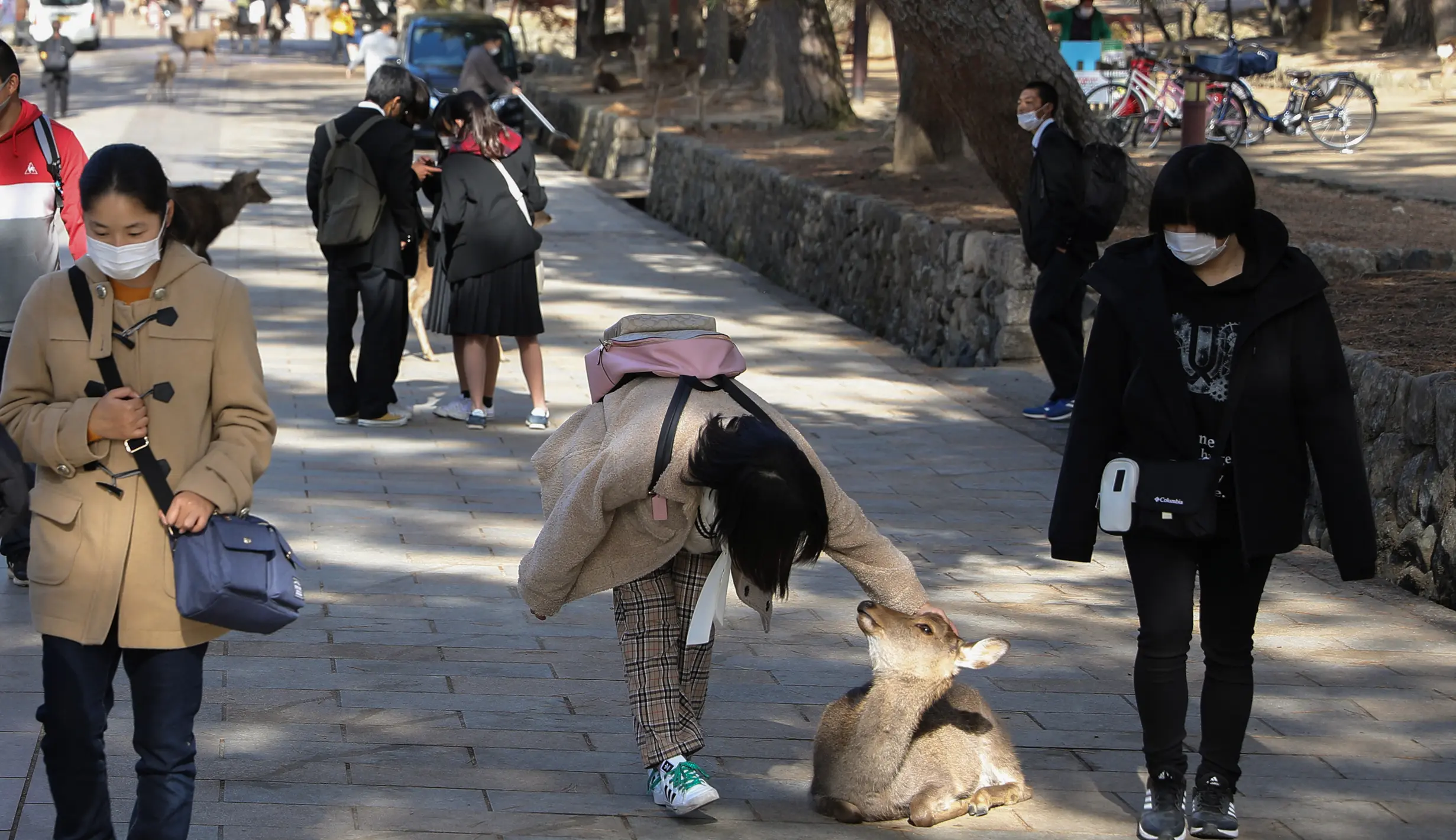 FOTO: Mengunjungi Kota Penuh Rusa di Jepang - Foto Liputan6.com