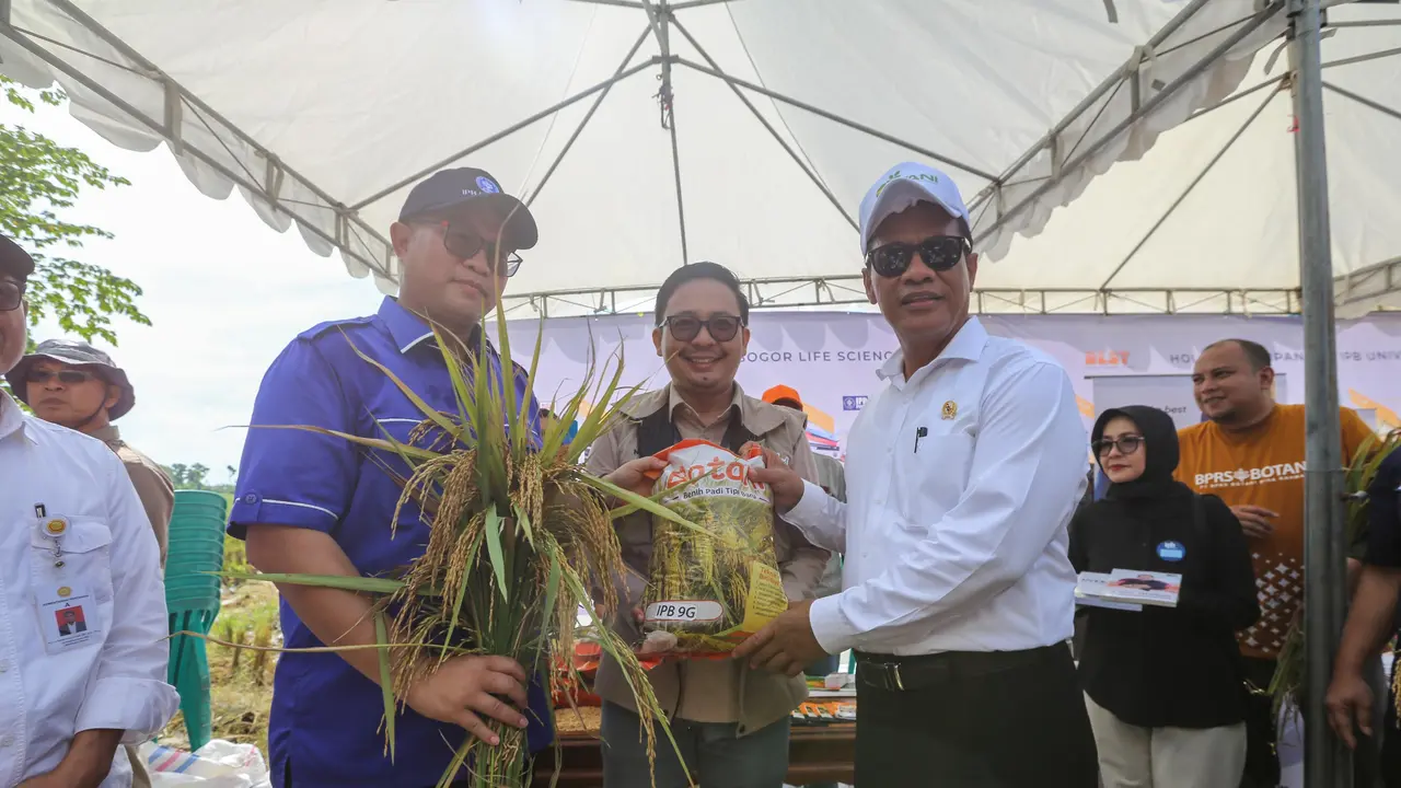 Mentan Amran Dorong Pengembangan VUB Padi IPB 9G, Varietas Unggul yang Tahan Hama Penyakit ...