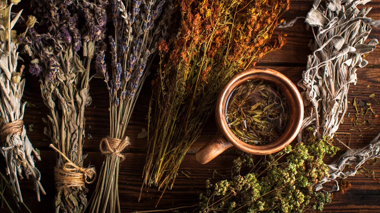 6 Tanaman Herbal untuk Turunkan Asam Urat, Sambiloto Masuk Daftar