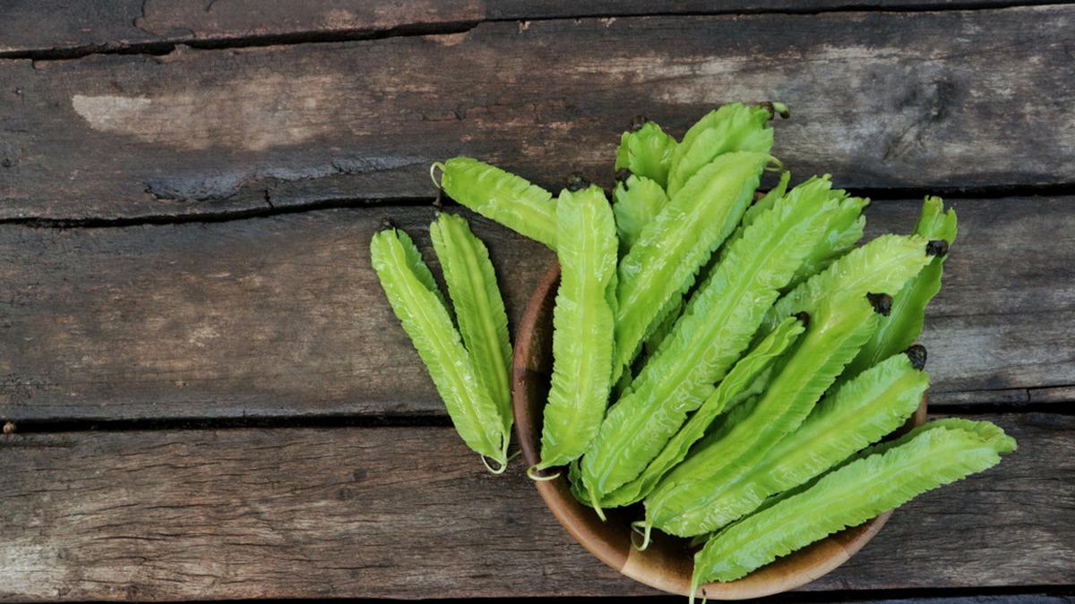 5 Manfaat Kecipir untuk Diet dan Kesehatan Tubuh - Lifestyle Fimela.com