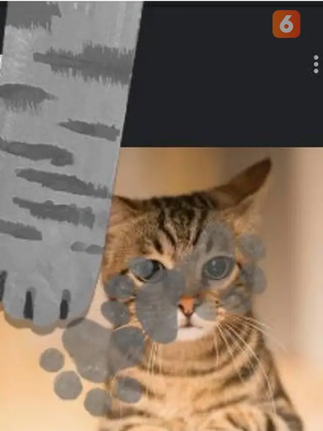 Hari Kucing Sedunia, Google Kasih Animasi Kaki dan Suara Anabul Lucu di ...