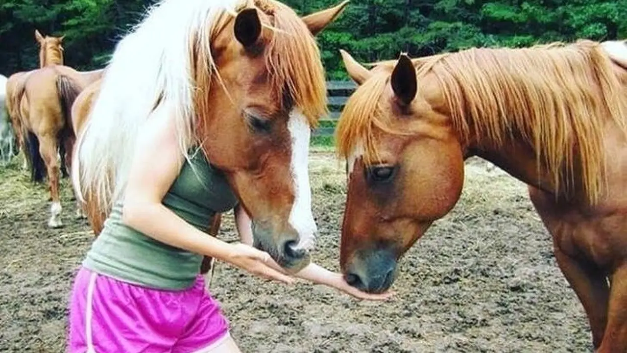 6 Ilusi Optik Kuda Ini Bikin Mikir Keras, Auto Kucek Mata - Hot ...