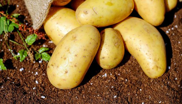 Anak SD Gantung Diri di NTT, Psikiater: Anak Tak Ingin Mati tapi Putus Asa