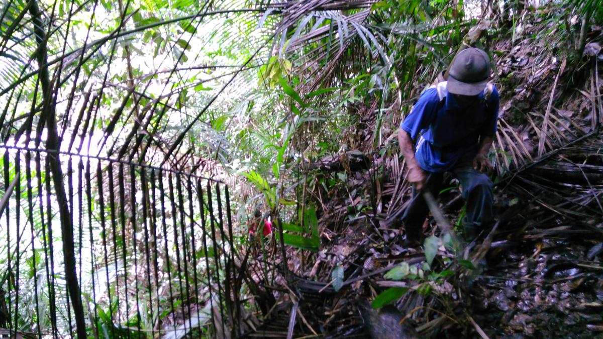 7 Hutan Adat Baru di Banten Sampai Bali