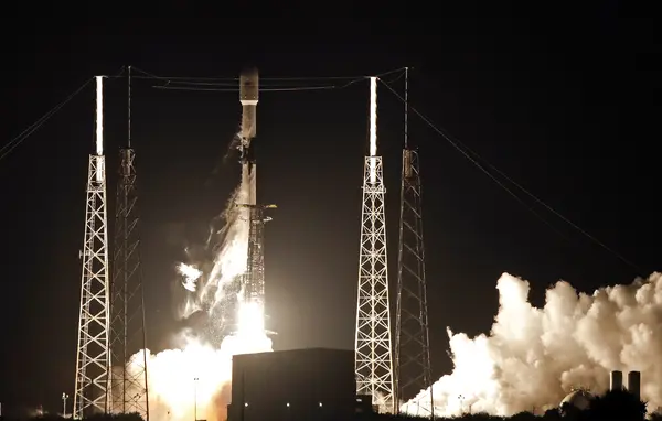 Mengenal Jamur Ringworm, Penyebab dan Gejalanya - Citizen6 Liputan6.com