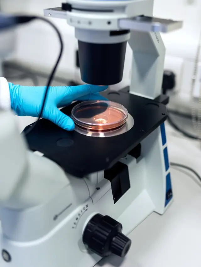 Macam-Macam Mikroskop dan Penjelasannya, Ketahui Cara Menggunakannya ...