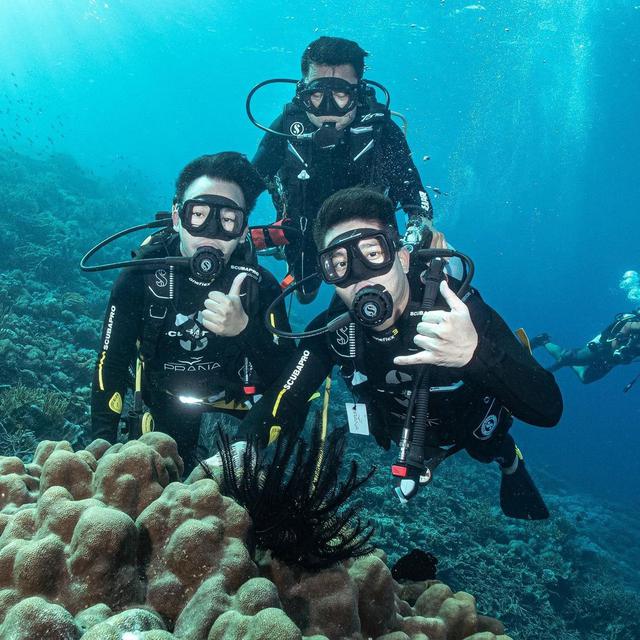 20 Wisata Bahari di Indonesia yang Populer, Keindahan Bawah Lautnya ...