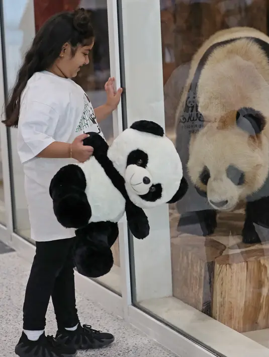 Jelang Piala Dunia 2022, Sepasang Panda Raksasa China Tiba di Qatar ...