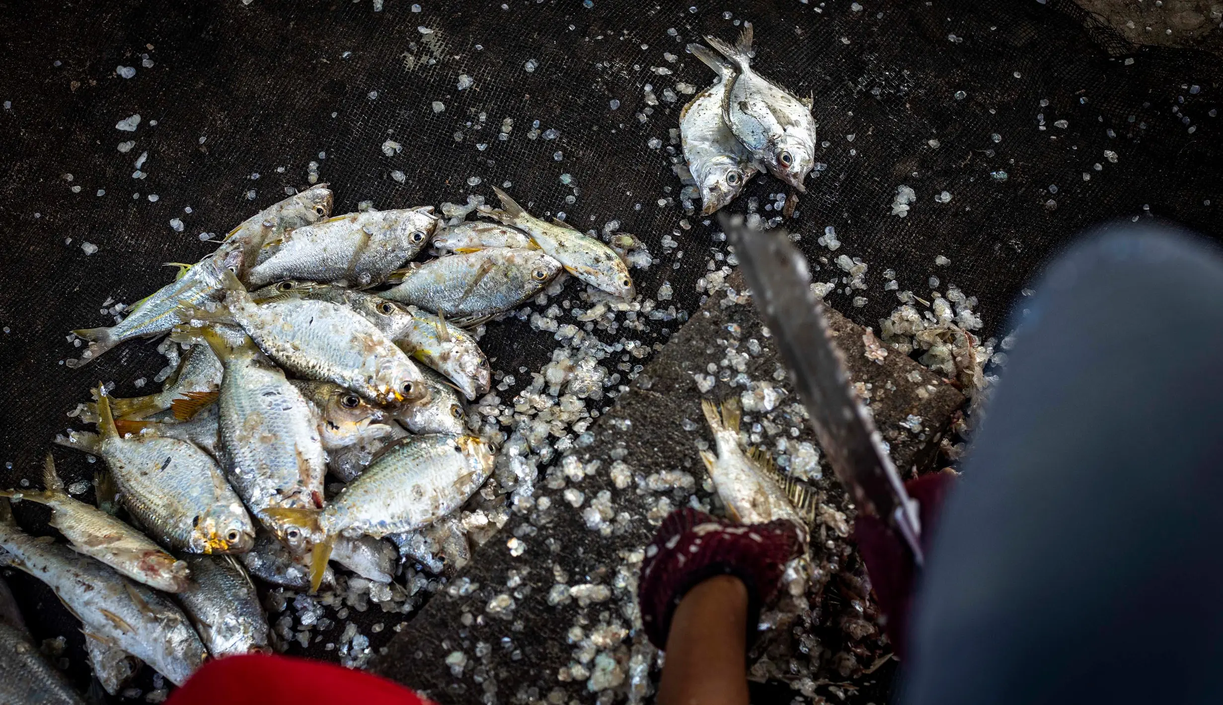 Nasib Nelayan Perairan Tanah Kuning Terimbas Pembangunan Kalimantan ...