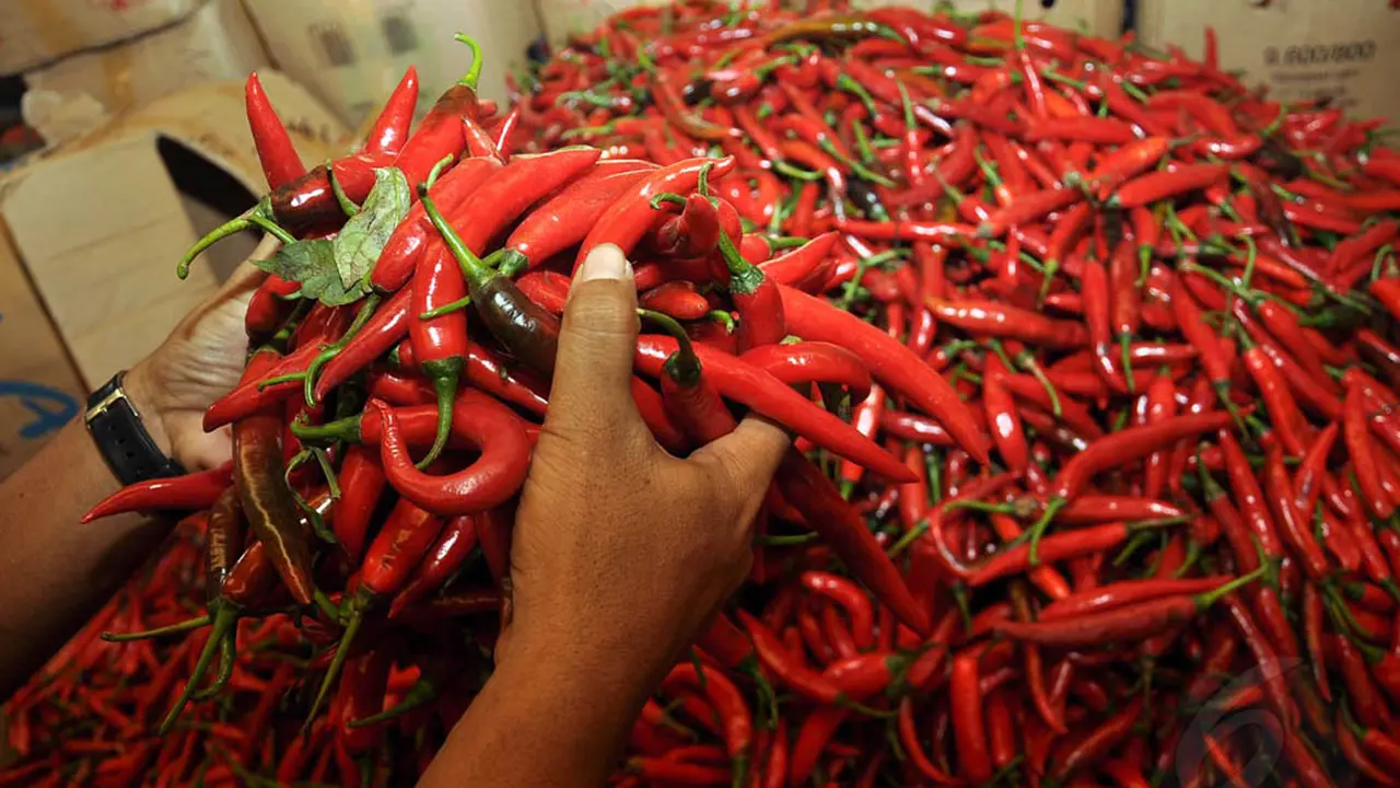 6 Jenis Cabai yang Mudah Ditanam di Kebun Rumah, Panen Melimpah - Hot ...