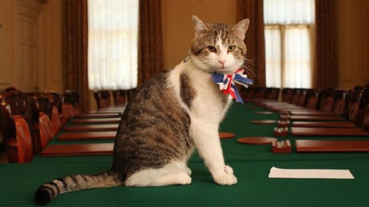 Kucing Larry Tidak Ikut David Cameron Pergi