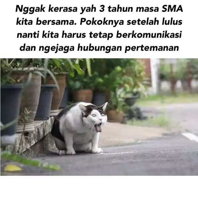 7 Meme Kocak Siswa Lulus SMA Ini Bikin Senyum Tipis, Relate Banget ...