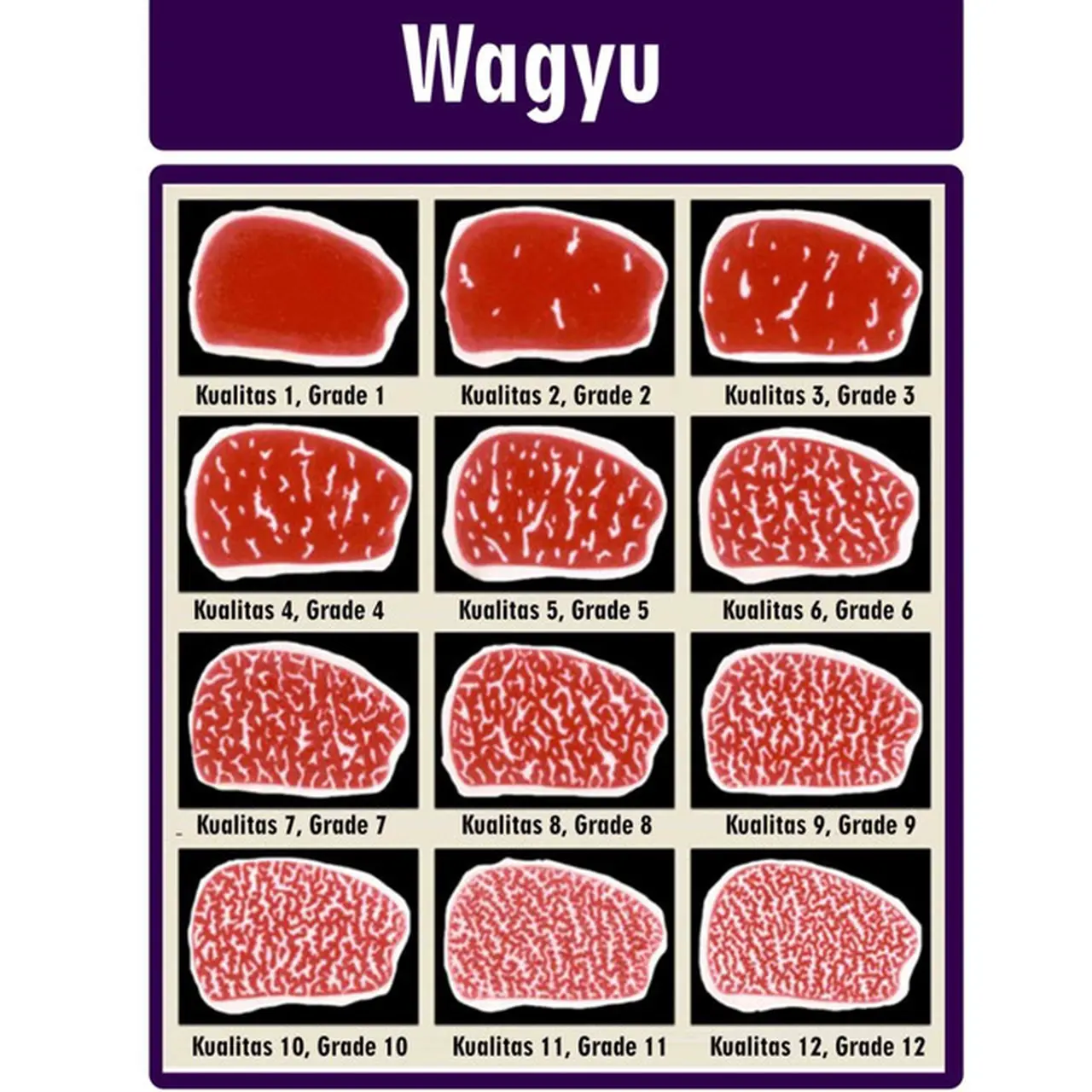 Kementan Budidaya Sapi Wagyu untuk Penuhi Kebutuhan Daging Nasional ...