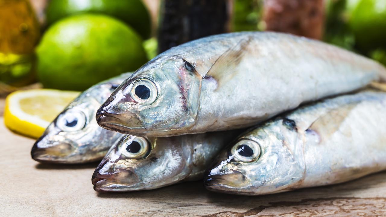 3 Resep Galantin dari Berbagai Macam Daging, Enak dan Mudah Dibuat