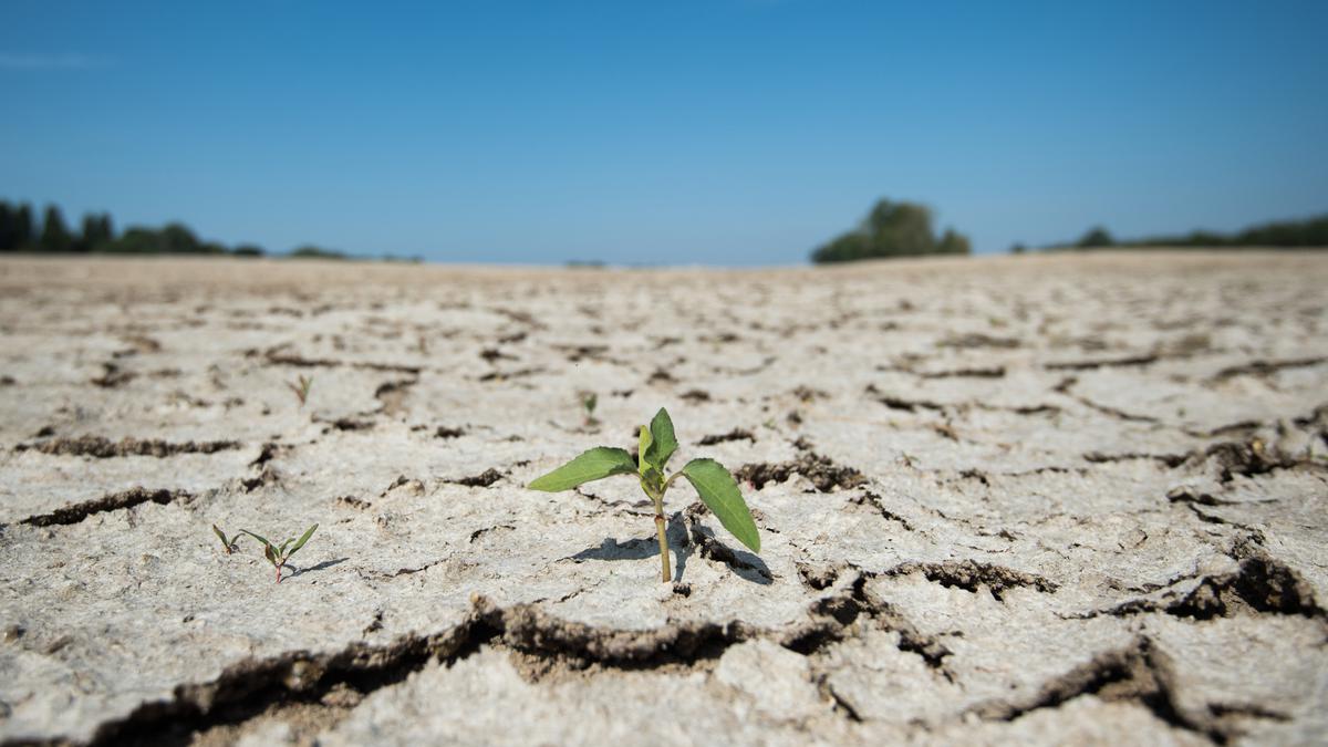 Ini Titik yang Perlu Diwaspadai Saat Musim Kemarau Menurut BMKG