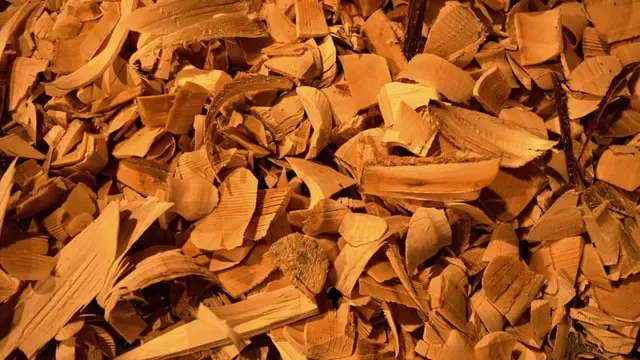 38 Contoh Sampah Organik Basah dan Kering, Ketahui Manfaatnya - Hot ...