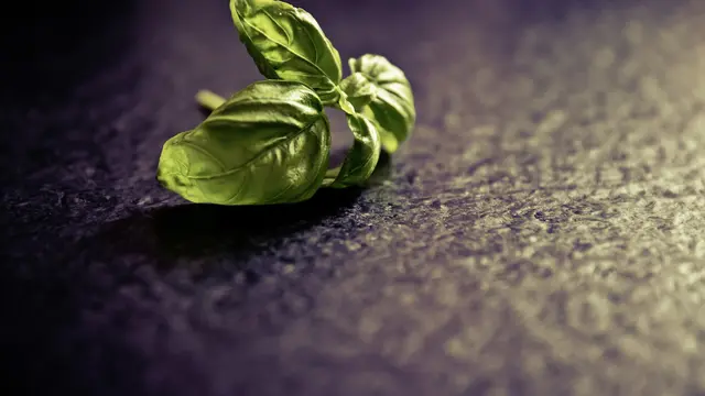 5 Resep Masakan Daun Kemangi, Lezat dan Mudah Dibuat di Rumah - Ragam ...