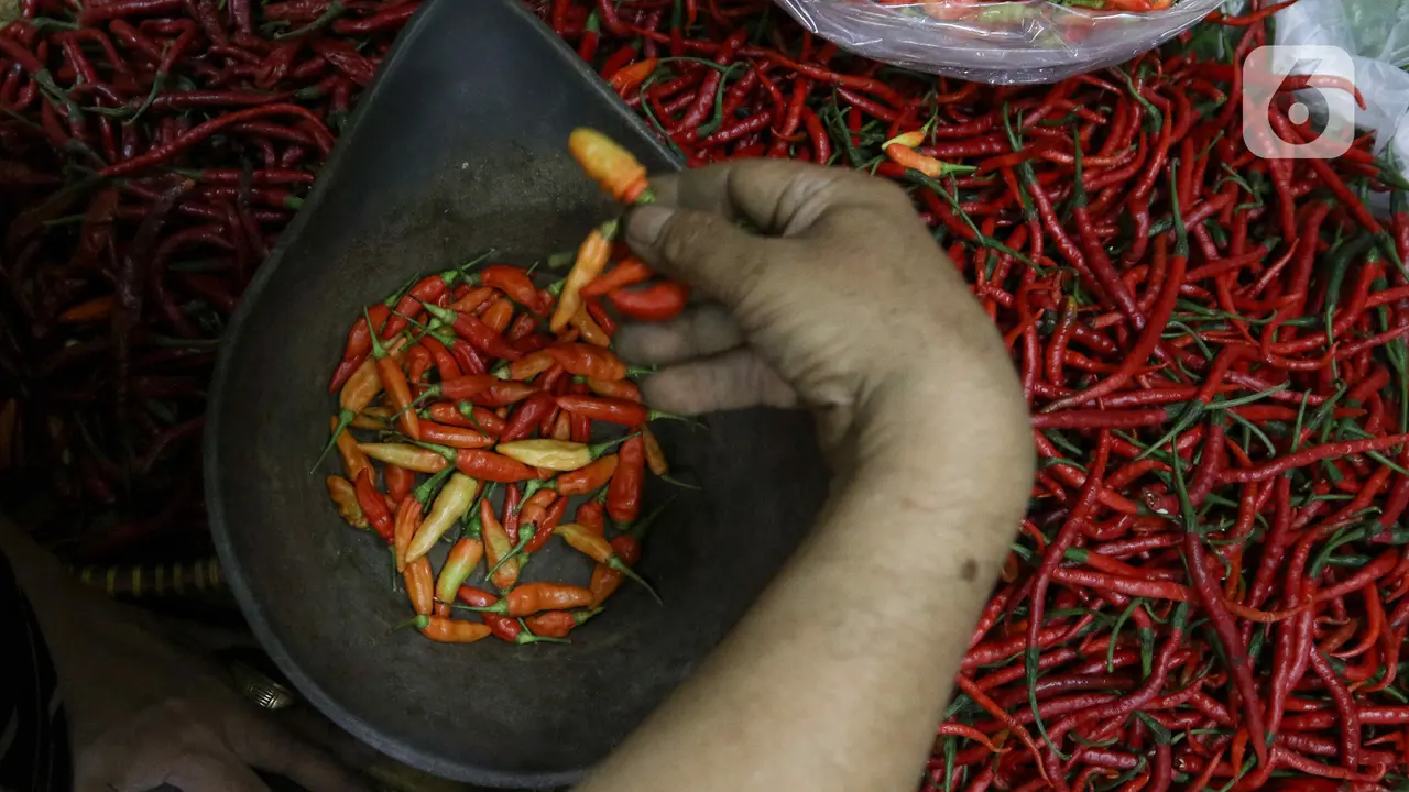 Harga Cabai di Pasar Tradisional Bandung Makin 'Pedas' - Regional Liputan6.com