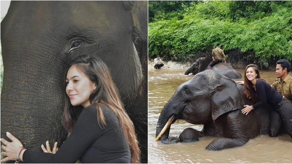 6 Potret Kenangan Wulan Guritno Bareng Gajah Rahman, Mati Diracun dan ...