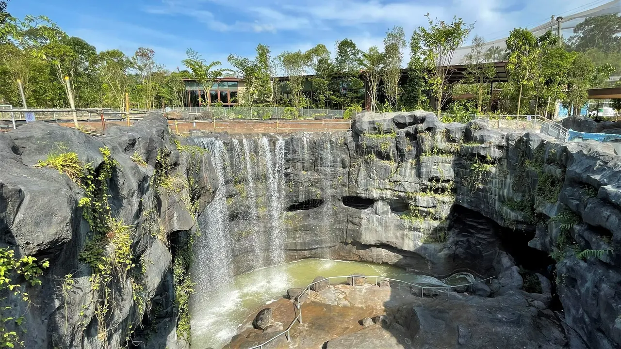 Ada Apa Saja di Bird Paradise, Taman Burung Baru di Singapura ...