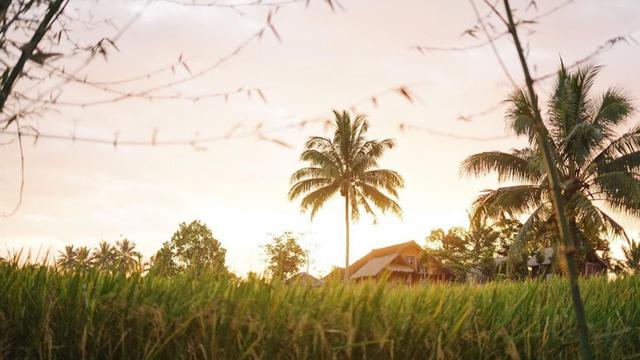 Desa Tetebatu Lombok Timur Wakili Indonesia di Best Tourism Village ...