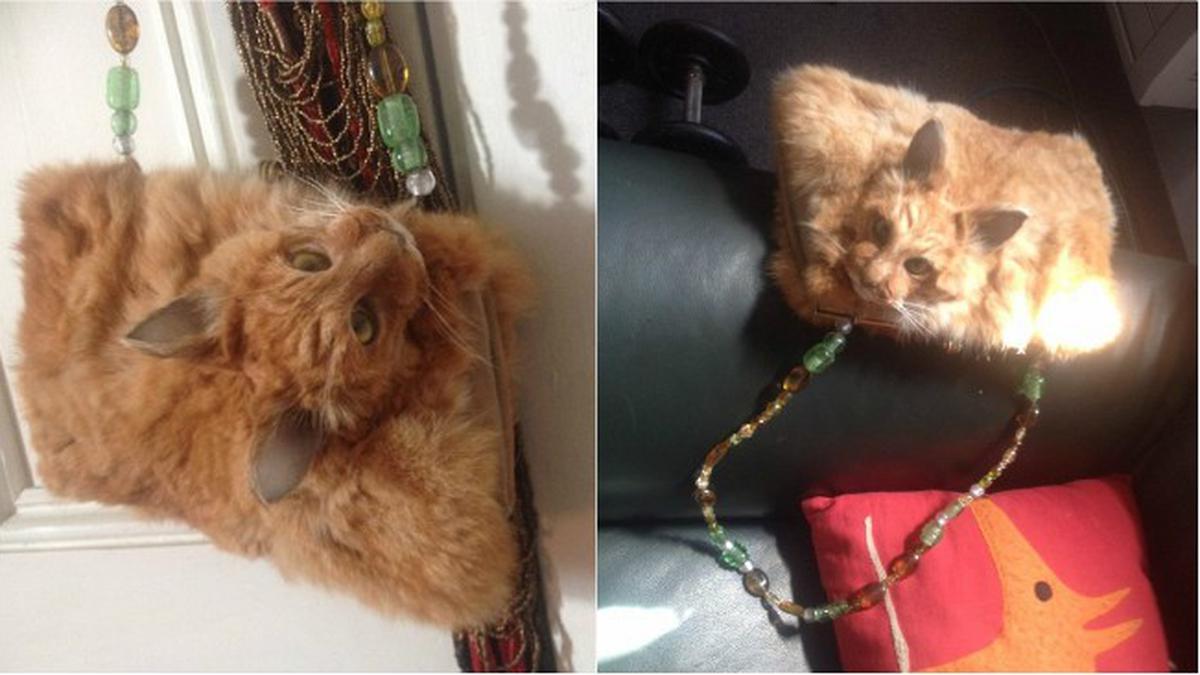 Ubah Bangkai Kucing Jadi Tas, Claire Hobbs Dikecam Netizen