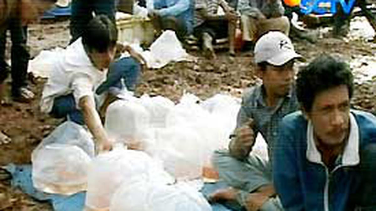 Pasar Parung Sediakan Ikan Hias Harga Grosir - News Liputan6.com