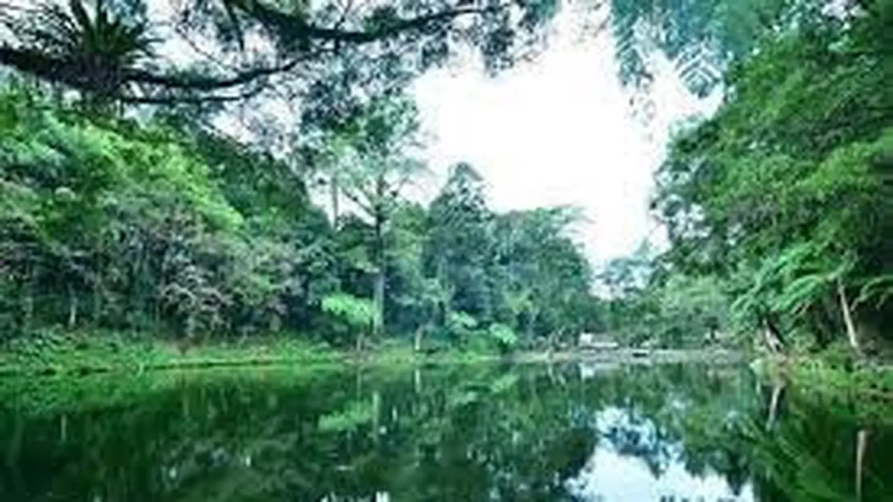 Sempat Viral Karena Film KKN di Desa Penari, Wisata Rowo Bayu ...