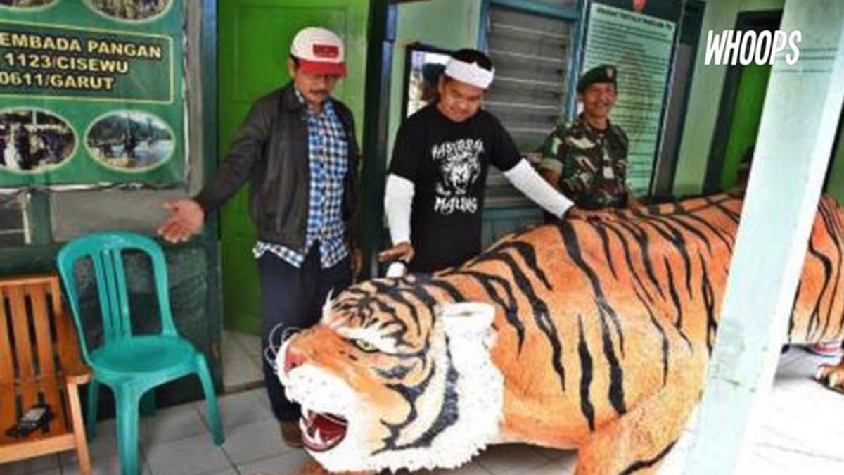 WHOOPS: Patung Macan Lucu di Markas Koramil Cisewu Akhirnya Diganti