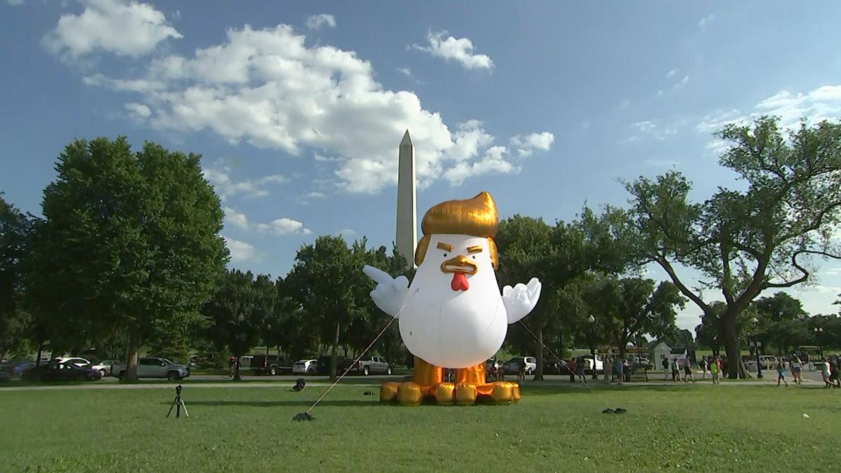 PHOTO: Heboh Ayam Raksasa Mirip Trump Muncul di Gedung Putih - Foto ...