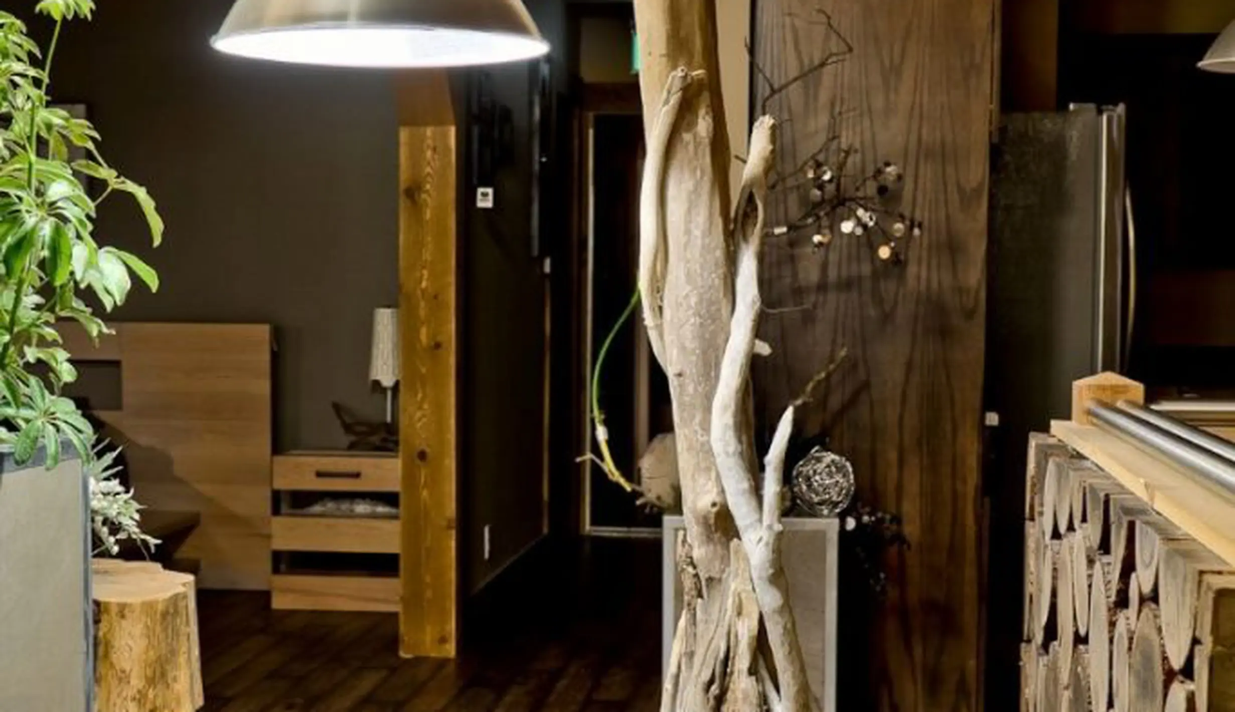 Inspirasi DIY Ranting Pohon Untuk Dekorasi Rumah Low-Budget - Photo ...