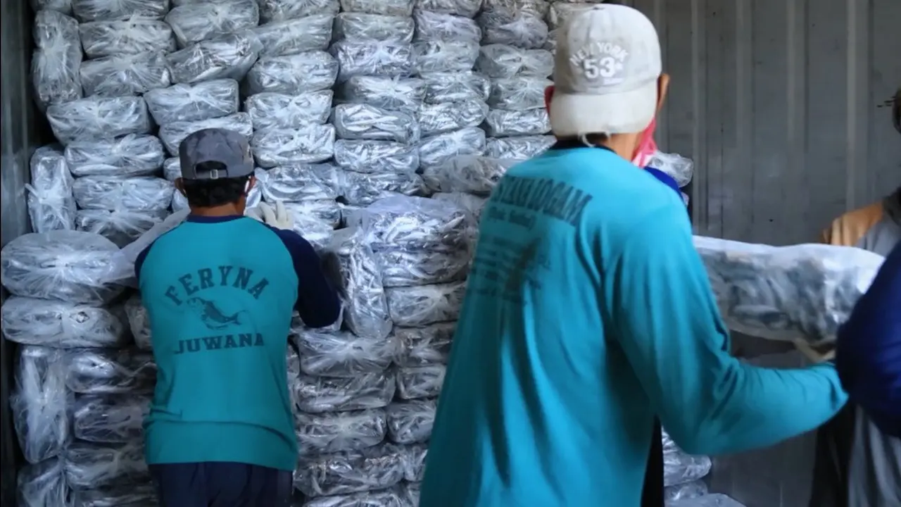 Stelina, Jurus KKP Perkuat Daya Tawar Ekspor dan Kendalikan Impor Komoditas Perikanan - Regional ...