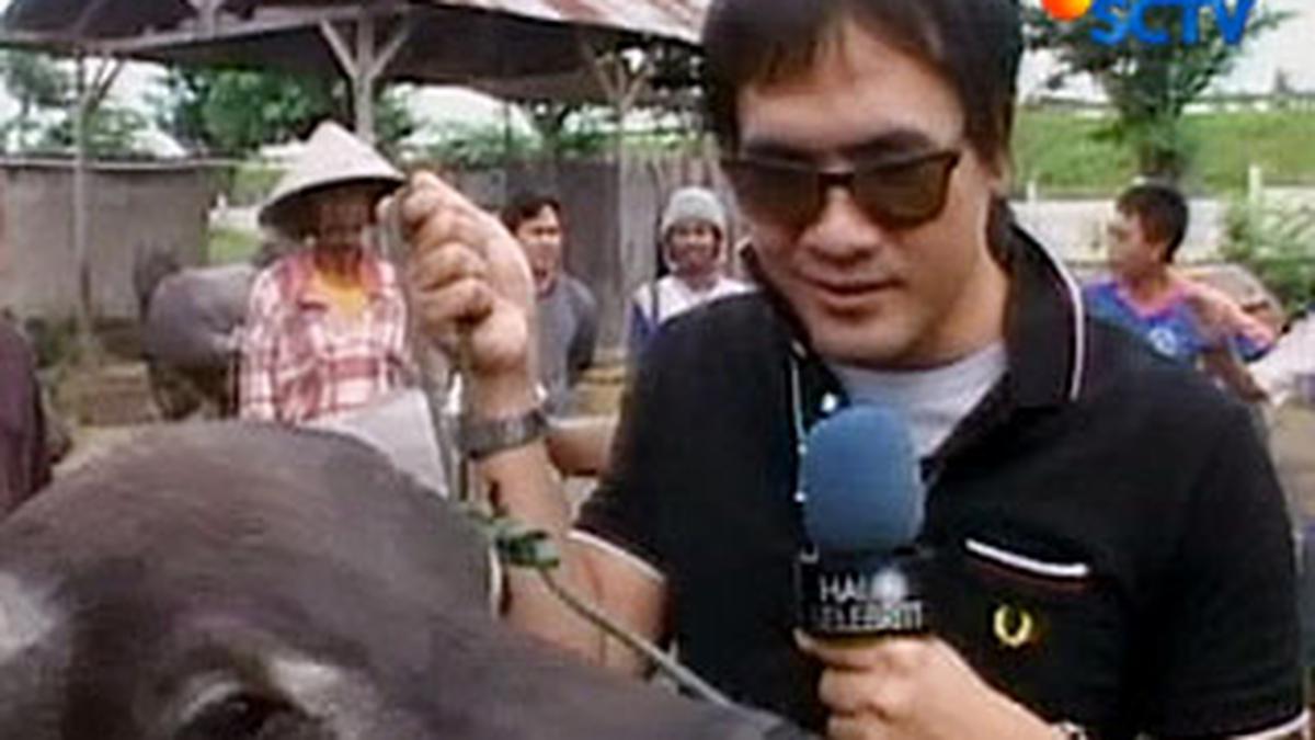 Saiful Jamil Kurban Kerbau "Ganteng" - ShowBiz Liputan6.com