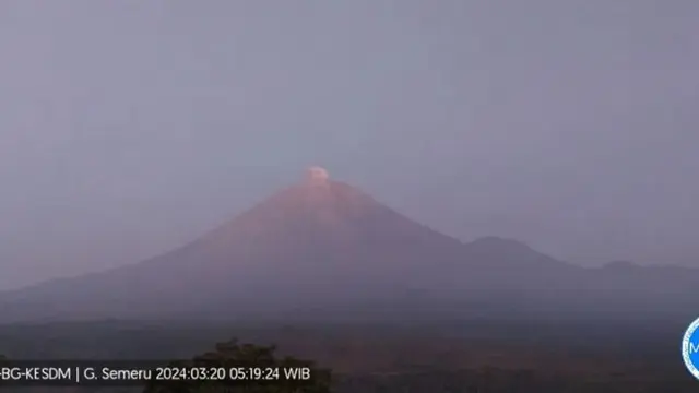 Gunung Semeru Erupsi Lagi, Gempa Letusan Tercatat 25 Kali - Surabaya Liputan6.com